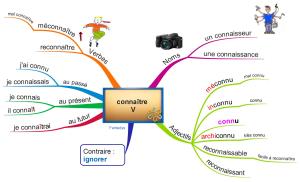 cartes Vocabulaire | Fantadys