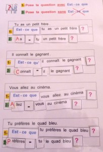 Quand la phrase interrogative pose question …. | Fantadys