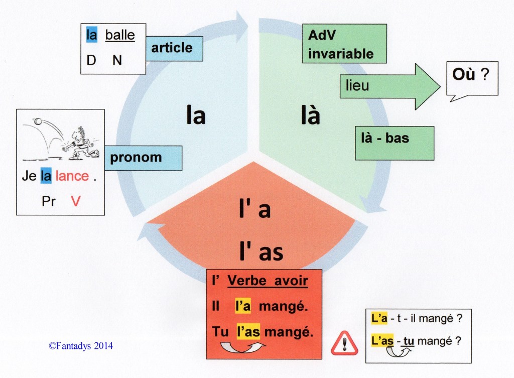 cartes Orthographe | Fantadys
