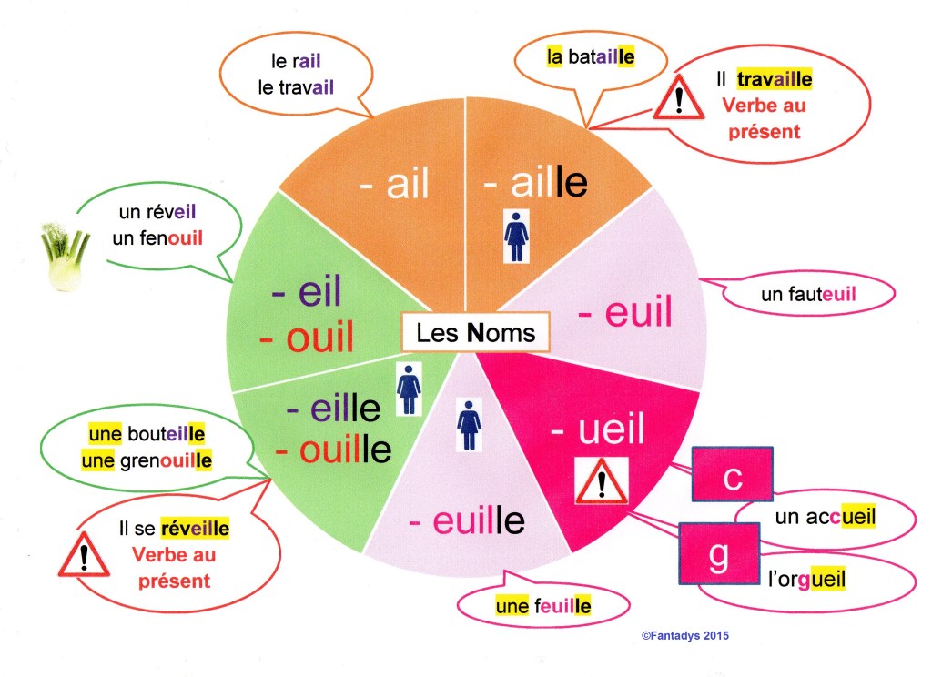 Les Noms en -ail, eil, -ouil, -euil : J’écris ail /aille , eil/eille ...