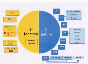 Nature ou fonction ? | Fantadys