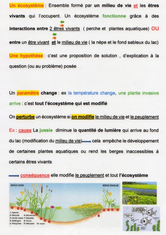 S’exprimer correctement à l’écrit : vocabulaire et méthode en sciences ...