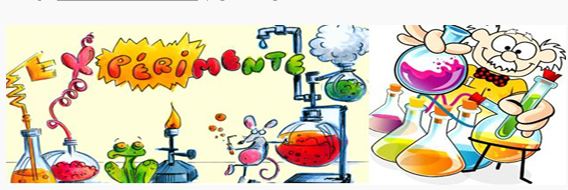 La démarche expérimentale en SVT : un essai d’une fiche guide | Fantadys